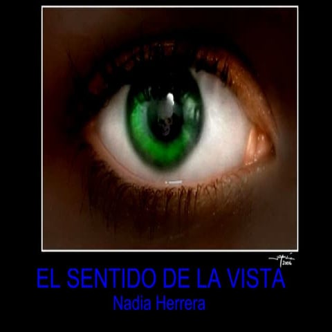 Treballem el sentit de la vista | PPT