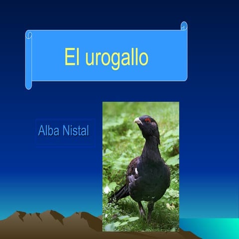 El Urogallo | PPT