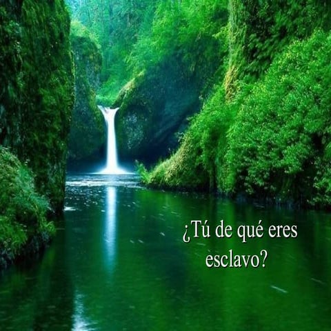 El esclavo | PPS