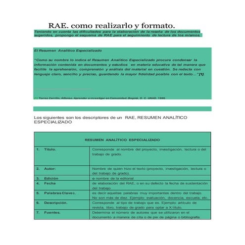 PASOS PARA LA ELABORACION DE UN RAE | PPTX