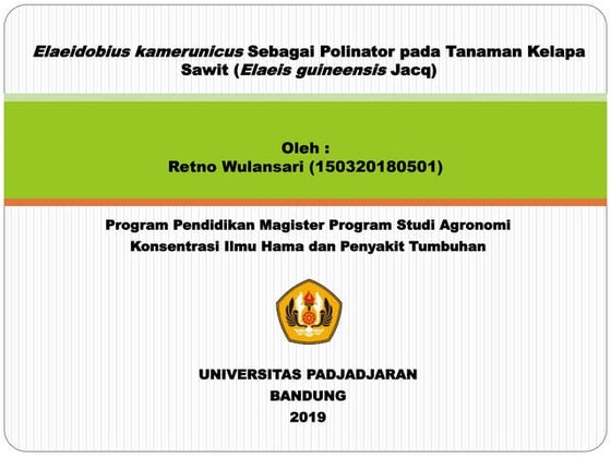 Hatch & carry | PPTX