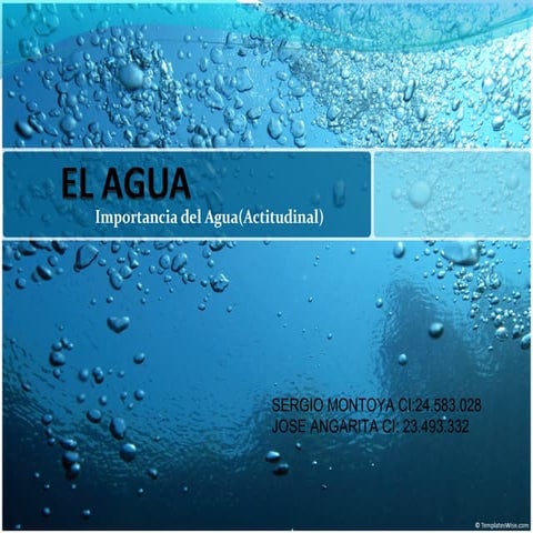 El agua | PPT