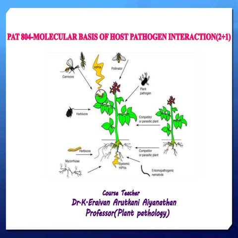 SYSTEMIC SIGNAL TRANSDUCTION IN PLANTS TO THE PATHOGEN AND HERBIVORE | PPTX