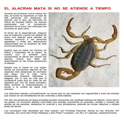 Manual para Picadura_Alacran de México.pdf
