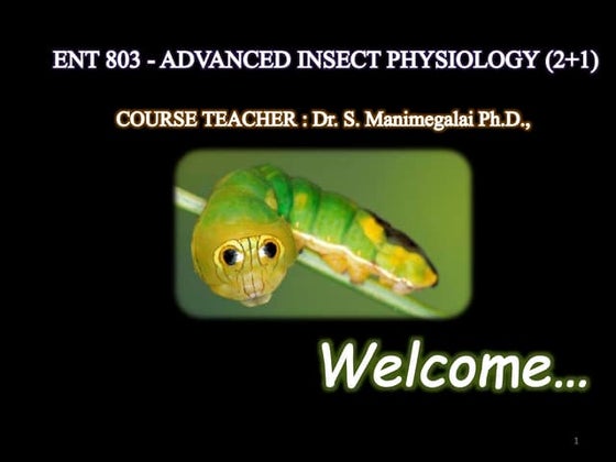 Phytophagous insect and their host finding mechanism | PPT