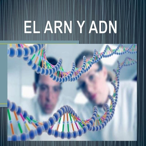 El arn y adn | PPTX