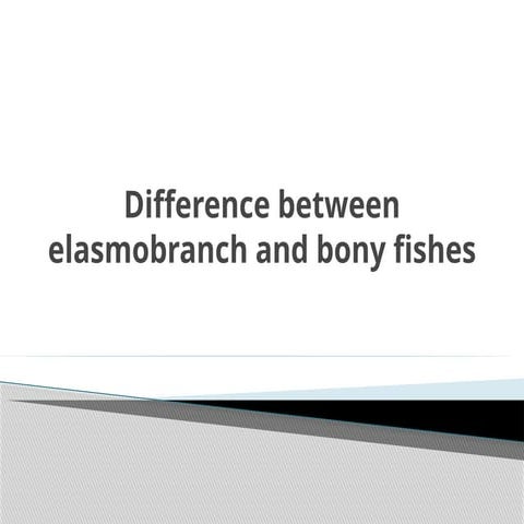 Comprehensive Comparison of Elasmobranch and Bony Fishes ...