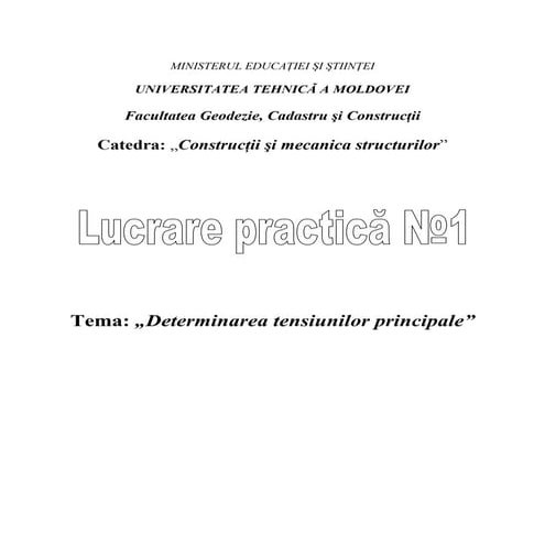 elasticitatea | DOCX