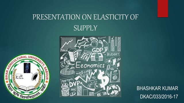 Price Elasticity of Supply | PPTX