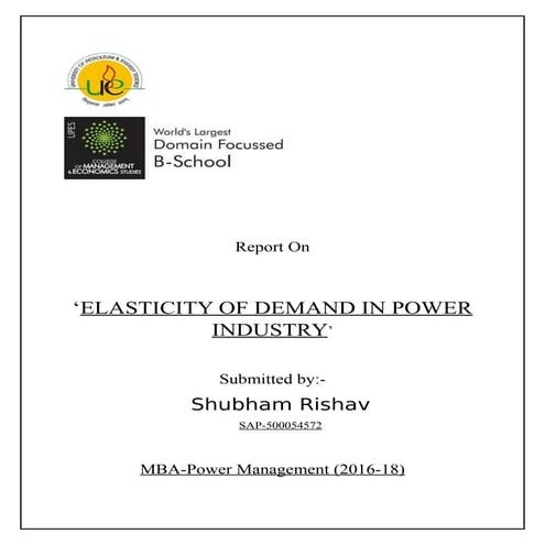 Elasticity report | PDF