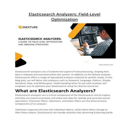 Elasticsearch Analyzers Field-Level Optimization.pdf