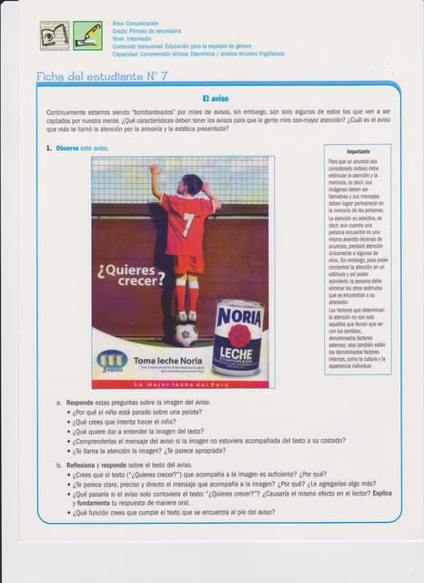 Arte Solfin Logo | PPT