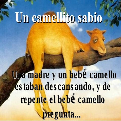 El bebé camello | PPS