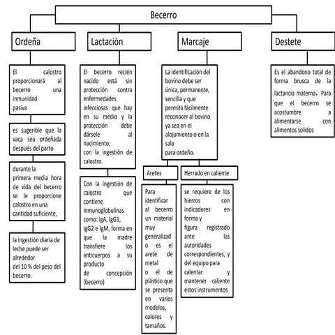 Tipos de cruzamientos | PPTX