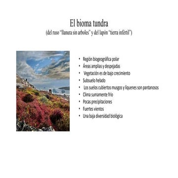 Ecosistema tundra | PDF