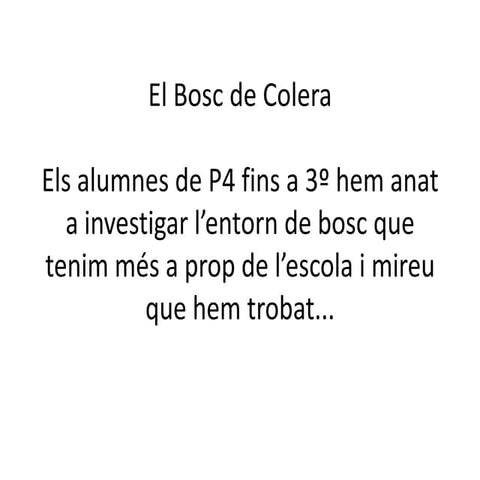 El bosc de colera | PPTX