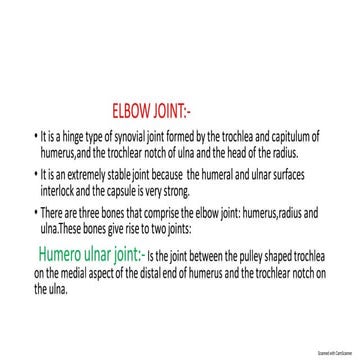 Elbow joint | PDF