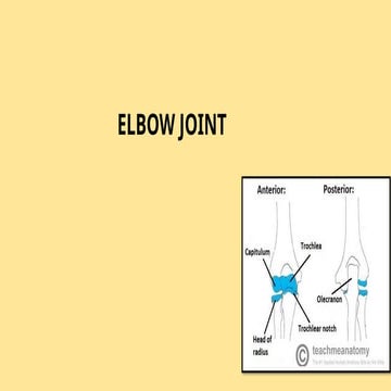 Anatomy of elbow joint | PPTX
