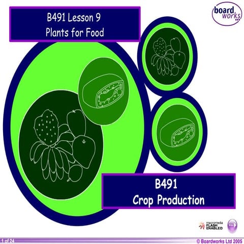 Bioaccumulation in plants and animals.ppt