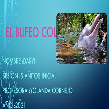El bufeo colorado una descricion sobre .pptx