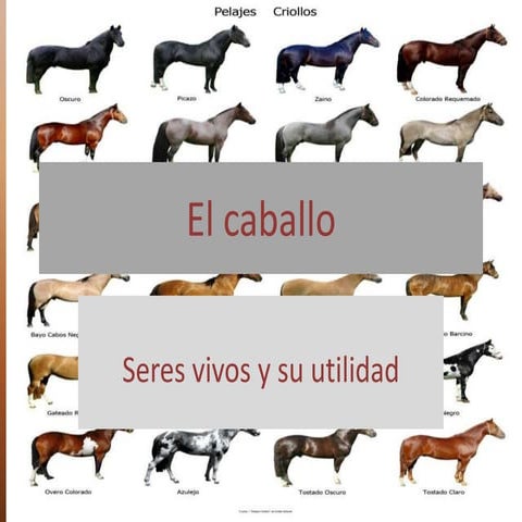 El caballo | PDF