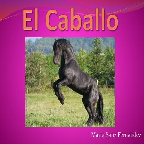 El caballo | PPTX