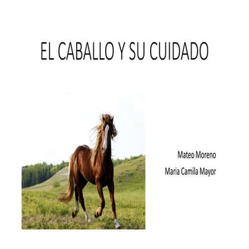 El caballo y su cuidado | PPTX
