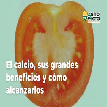 El calcio, sus grandes beneficios y cómo alcanzarlos en agricultura | PDF