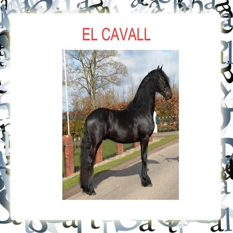 El cavall (Lorena) | ODP