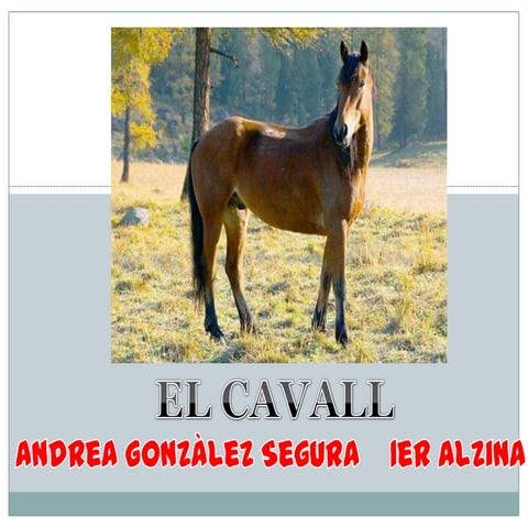 El cavall | PPTX
