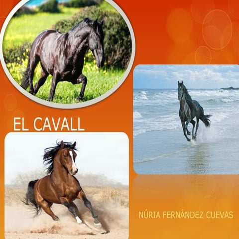 El cavall | PPT
