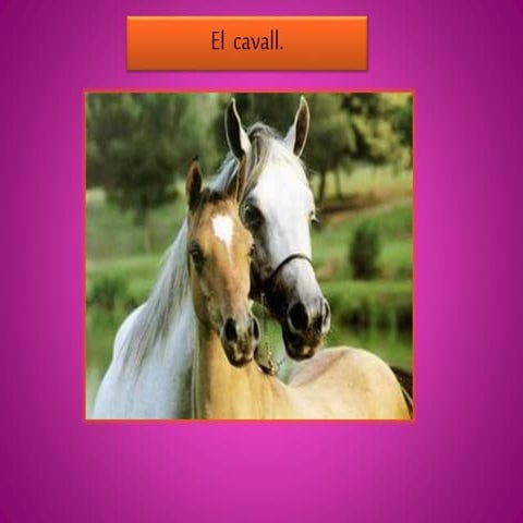 El cavall ONA BAÑOS | PPTX