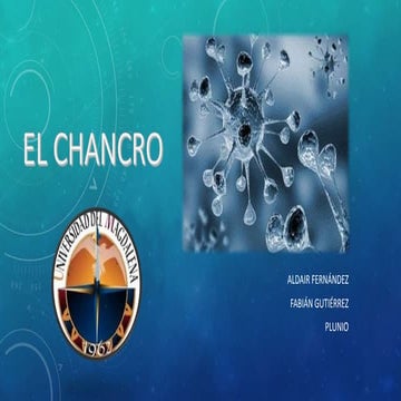 El CHANCRO | PPTX