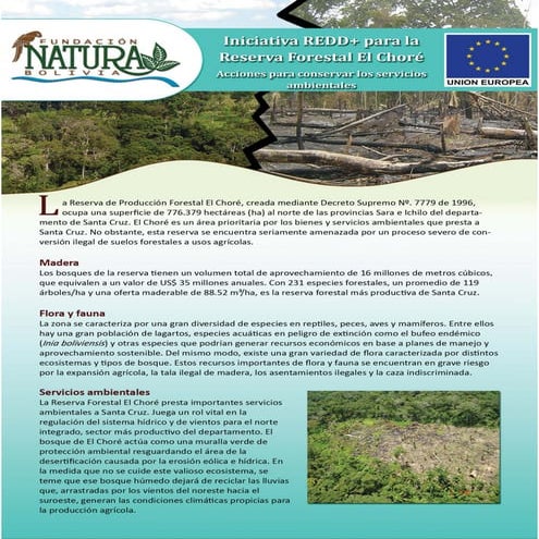 Reserva Forestal El Choré | PDF