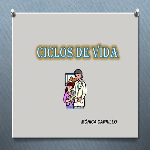 El ciclo de vida | PPT