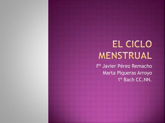 Remacho presentations