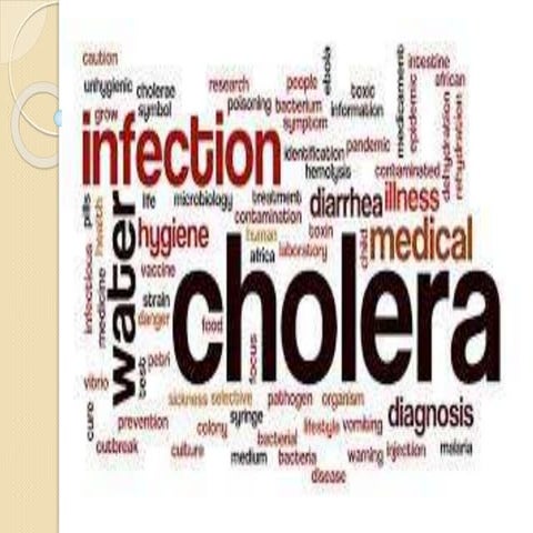Cholera ppts | PPTX
