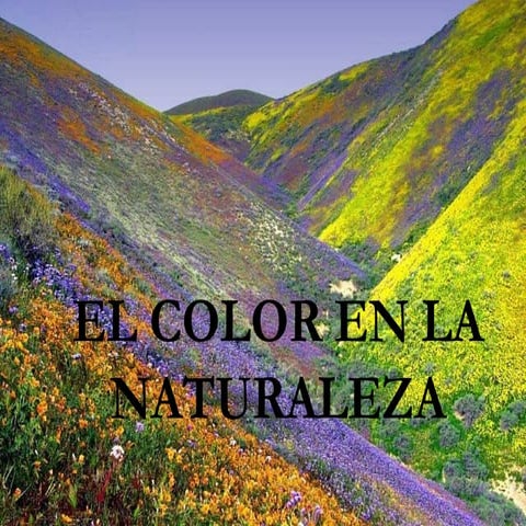El color en la naturaleza | PPT