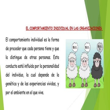 El comportamiento del hombre en las organizaciones..pptx