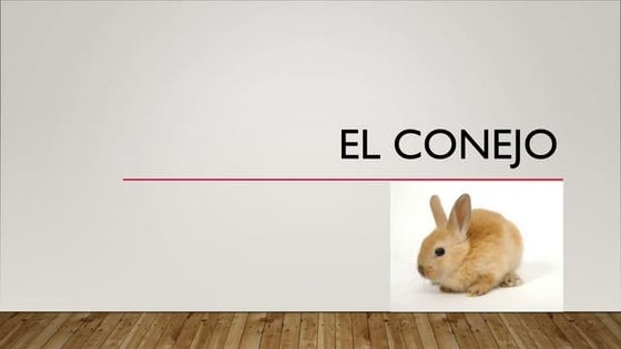 Disertación el conejo.pptx