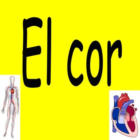 El Cor | PPT