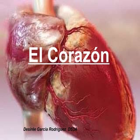El Corazon | PPT