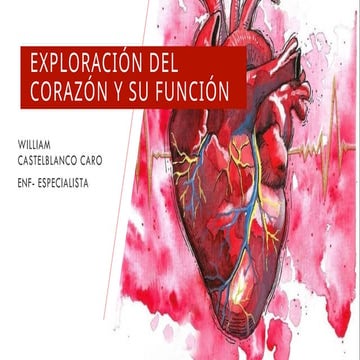 el corazon y sus funciones.escuela enfermeria | PPTX