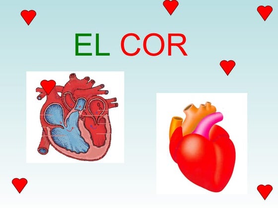 El Cor | PPT