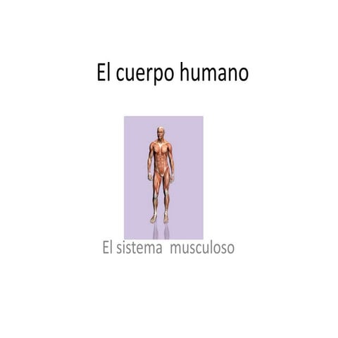 El cuerpo humano | PPTX