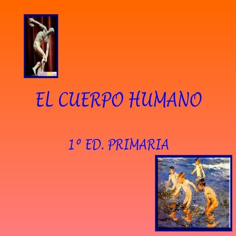 El cuerpo humano | PPT