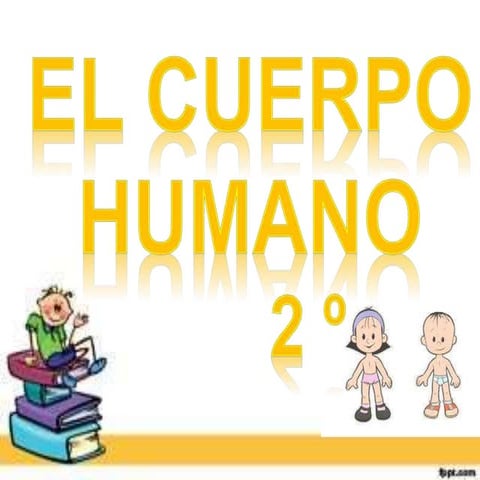 El cuerpo humano | PPTX