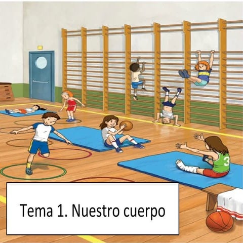 El cuerpo humano 1º | PPT