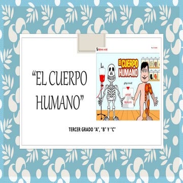 EL CUERPO HUMANO POWER POINT 3°.pptx