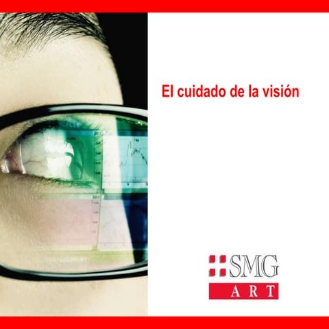 Salud visual y Proteccion respiratoria.pdf.pptx